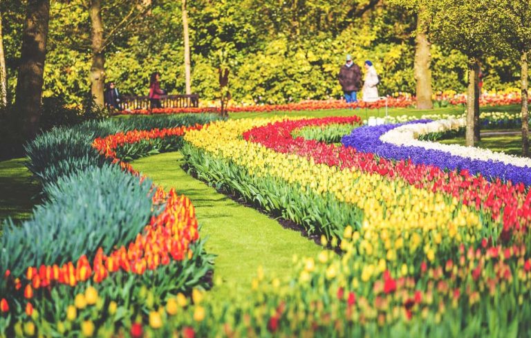 Top 20 Things to Do in Amsterdam in April (2025)