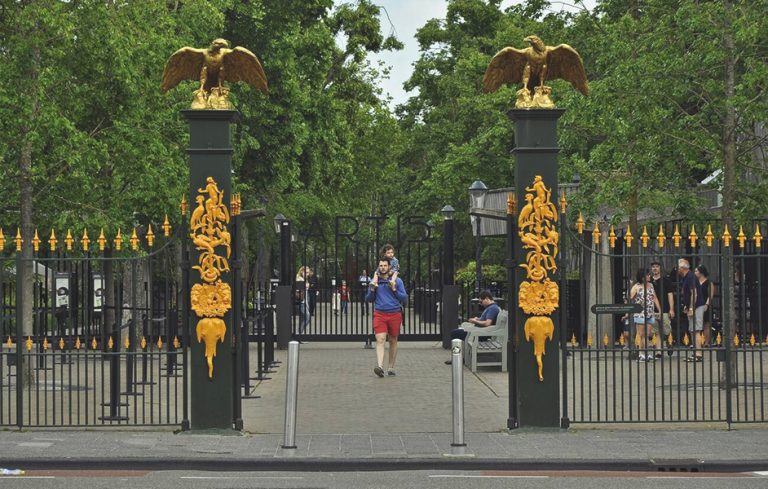 Top 15 Things to Do in Amsterdam in March [2025]